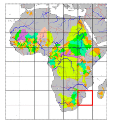 Limpopo - Tokwe Confluence U/s C/s